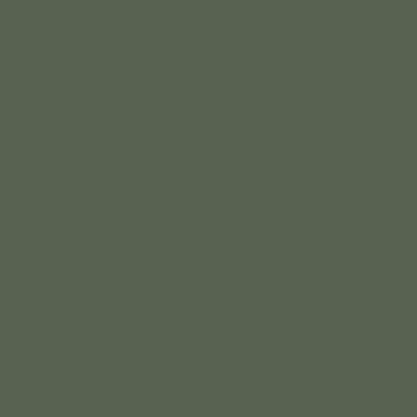 469 Backwoods Paint Colour Benjamin Moore